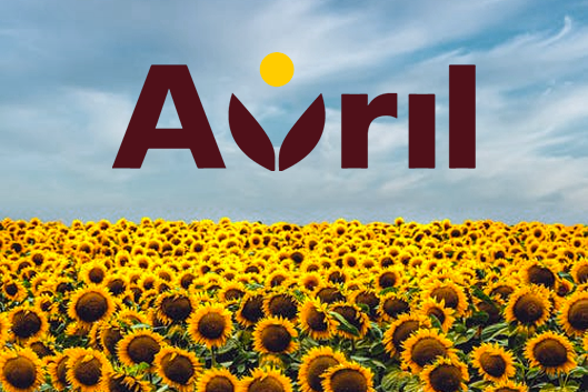 Groupe Avril : un vent de fraîcheur pour la marque | Dissonances